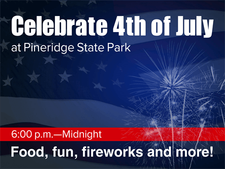 Firework Display Yard Sign - Signazon